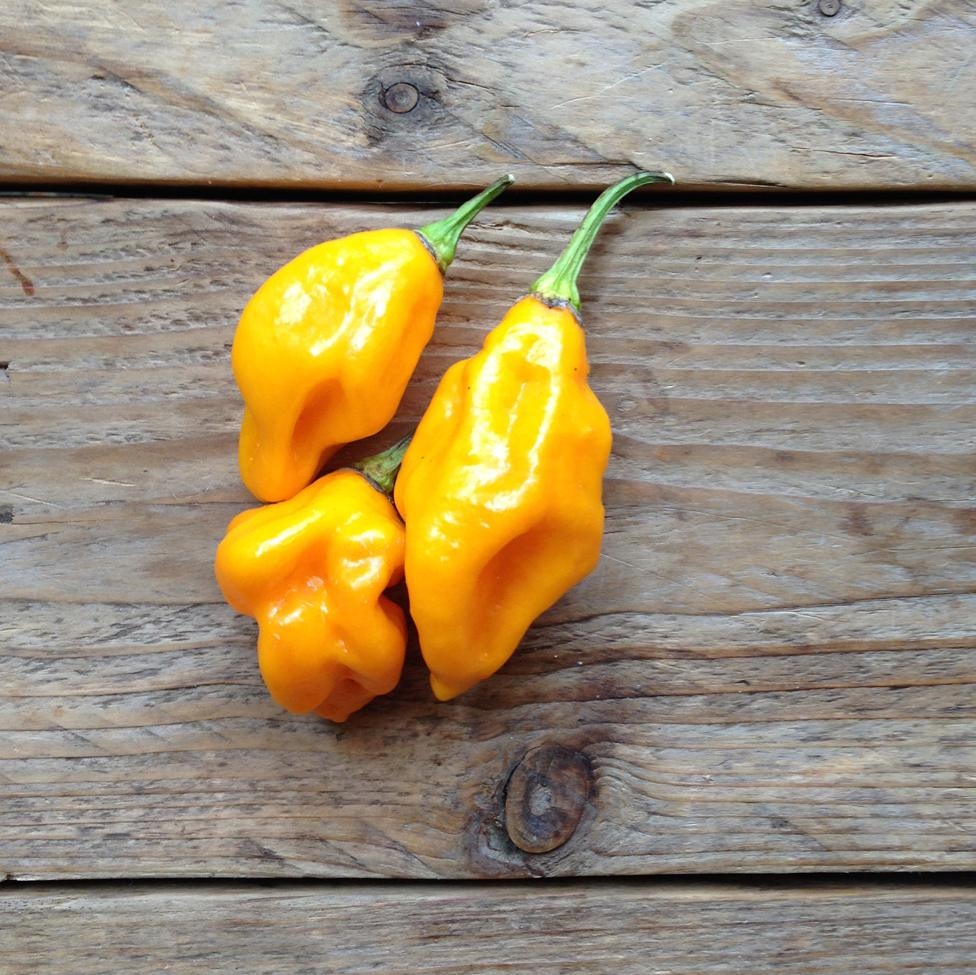 Chili - Habanero Lemon